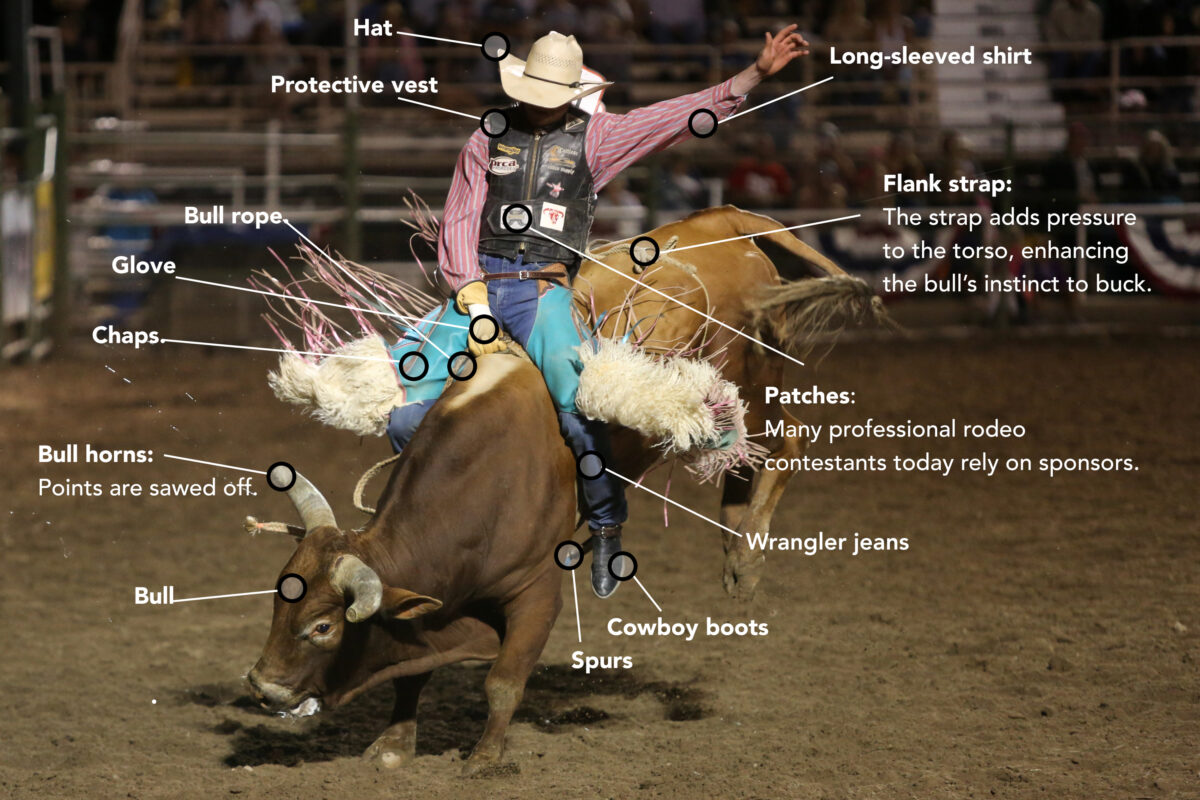 Here’s what you need to know to watch the Ogden Pioneer Days rodeo ...